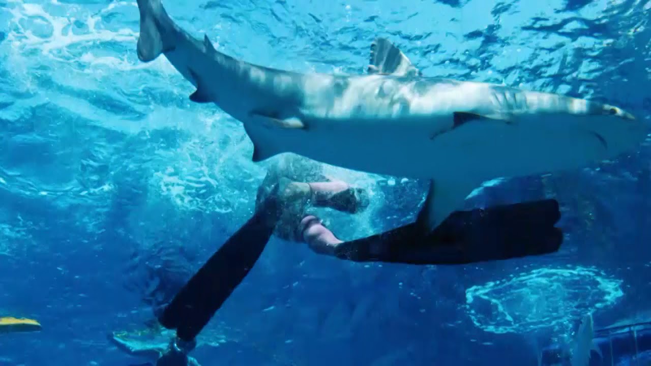 OSN Summer| Dive Into Chiling Truths - سومر اونلاين SumerOnline